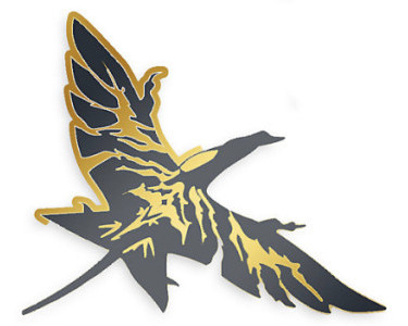 62964 - D23 Celebrates 25 Years of Animal Kingdom Pin Set — Banshee ...