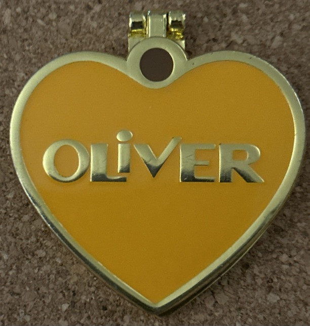 83977 - Oliver Heart Tag - BoxLunch Exclusive - Disney Pets Hinged Name ...