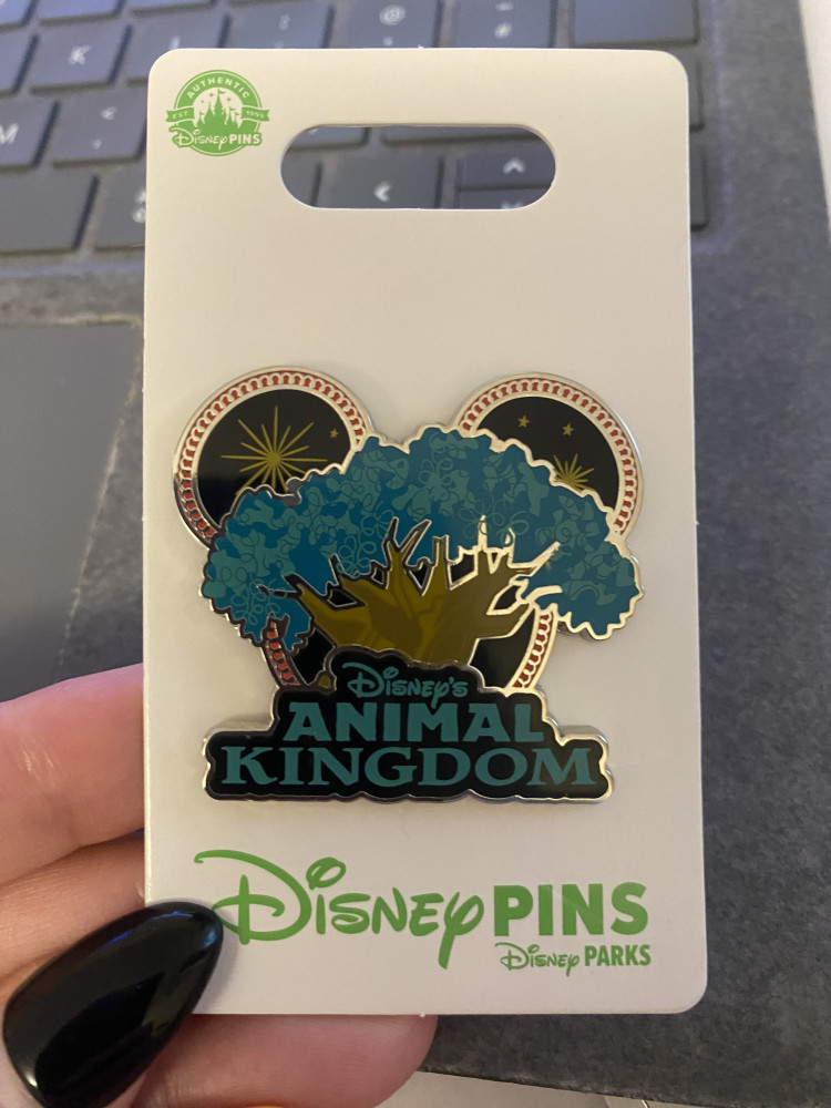 72221 - Disney's Animal Kingdom Mickey Icon - 2024 Nighttime Fireworks ...