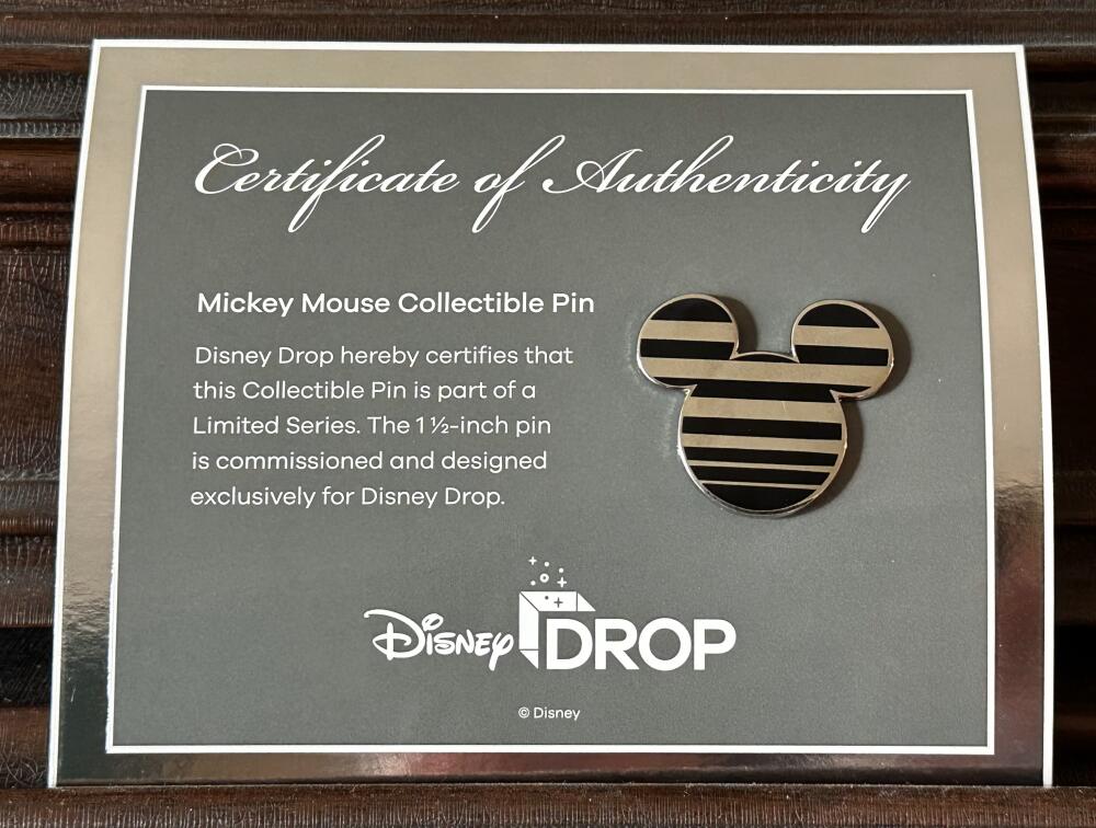 93938 - Mickey Mouse Ears Icon - Disney Drop - Disney Movie Rewards ...
