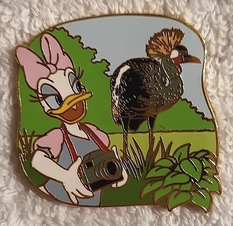 4448 - Daisy with Grey Crowned Crane - Disney's Animal Kingdom ...