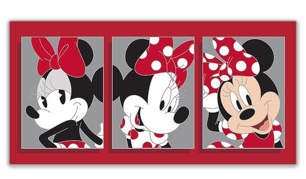 36668 - Minnie Mouse Through the Years - Minnie Mouse